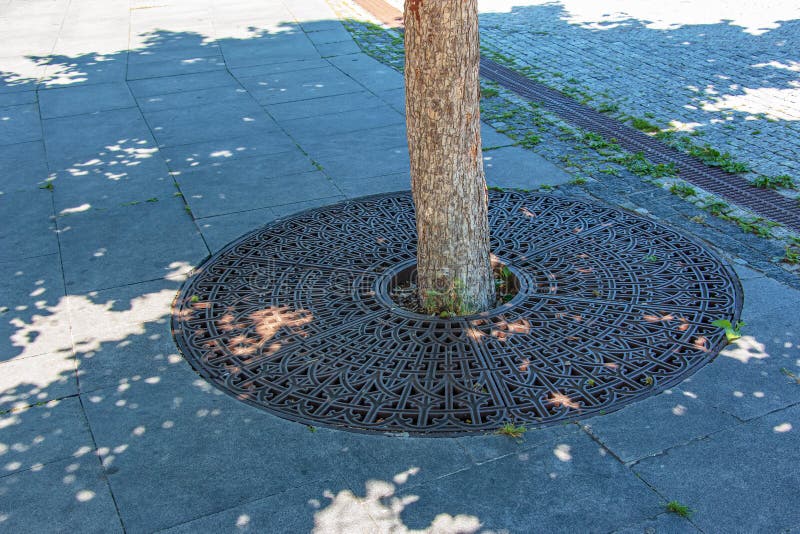 Metal Drainage Grate on the Sidewalk Around a Tree in Slovakia Stock ...