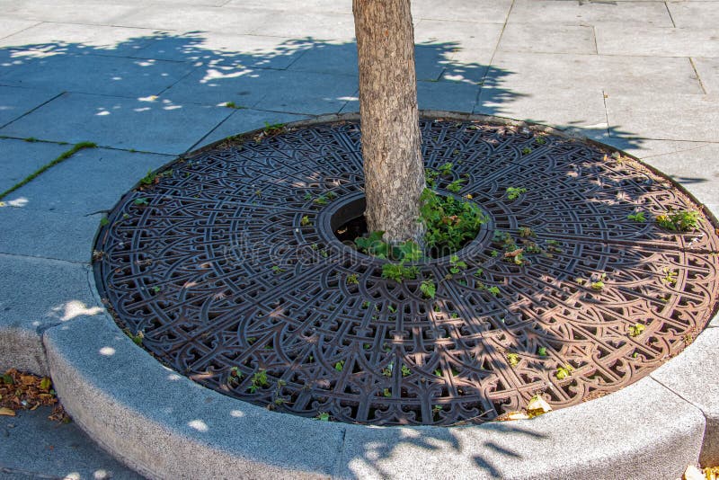 Metal Drainage Grate on the Sidewalk Around a Tree in Slovakia Stock ...