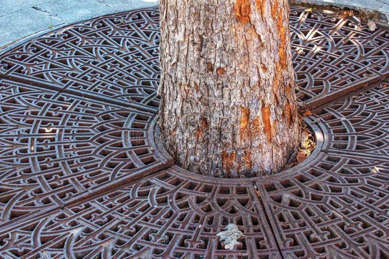 Metal Drainage Grate on the Sidewalk Around a Tree in Slovakia Stock ...