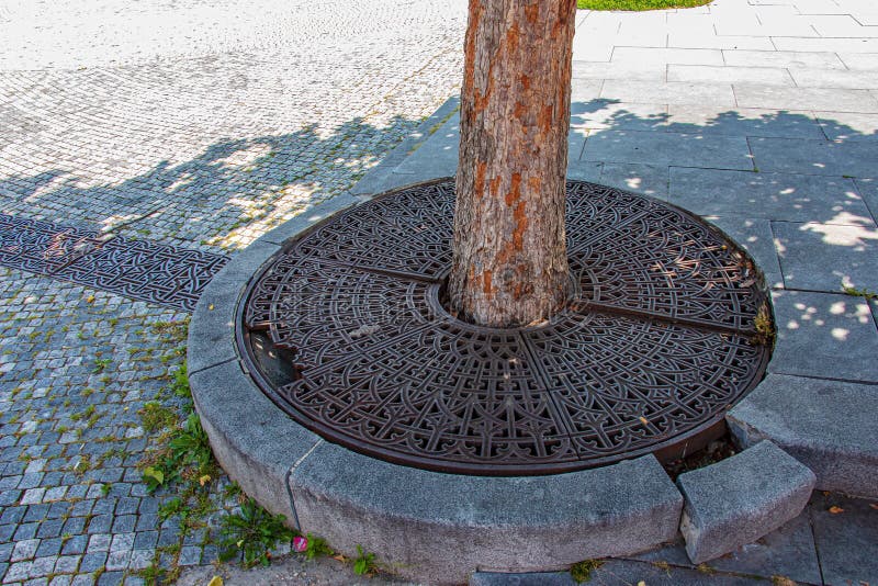 Metal Drainage Grate on the Sidewalk Around a Tree in Slovakia Stock ...