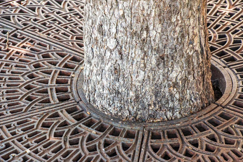 Metal Drainage Grate on the Sidewalk Around a Tree in Slovakia Stock ...