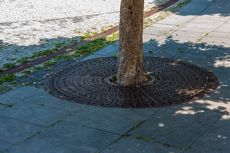 Metal Drainage Grate on the Sidewalk Around a Tree in Slovakia Stock ...