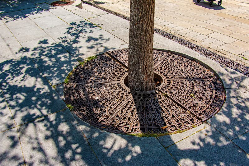 Metal Drainage Grate on the Sidewalk Around a Tree in Slovakia Stock ...