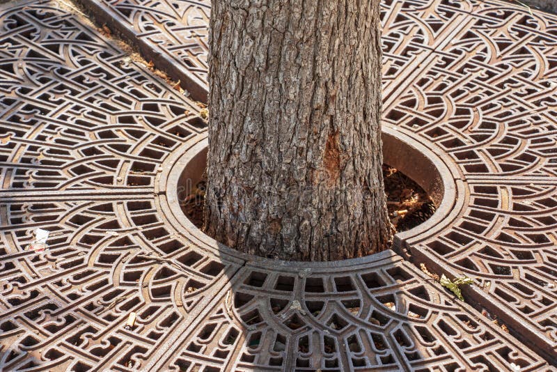 Metal Drainage Grate on the Sidewalk Around a Tree in Slovakia Stock ...