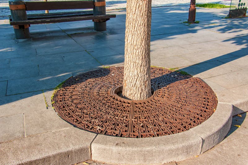 Metal Drainage Grate on the Sidewalk Around a Tree in Slovakia Stock ...