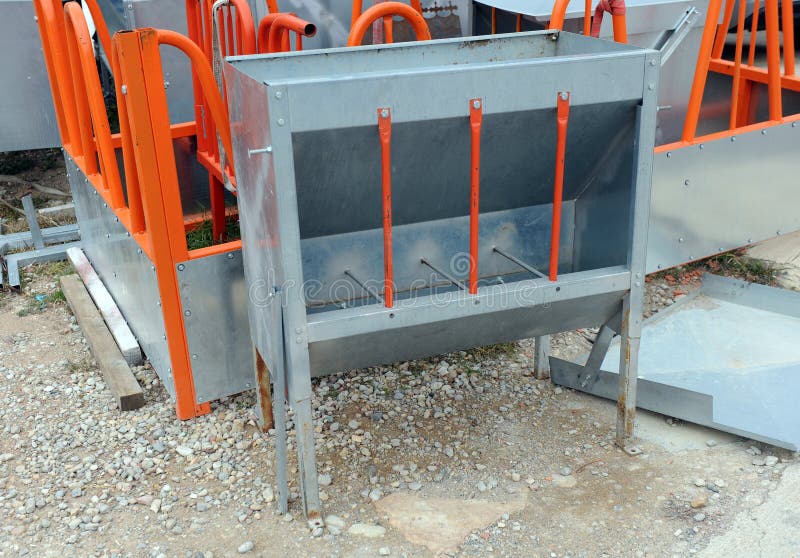 Metal Feeder for Farm Animals. Fodder for Sheep Stock Photo - Image of ...