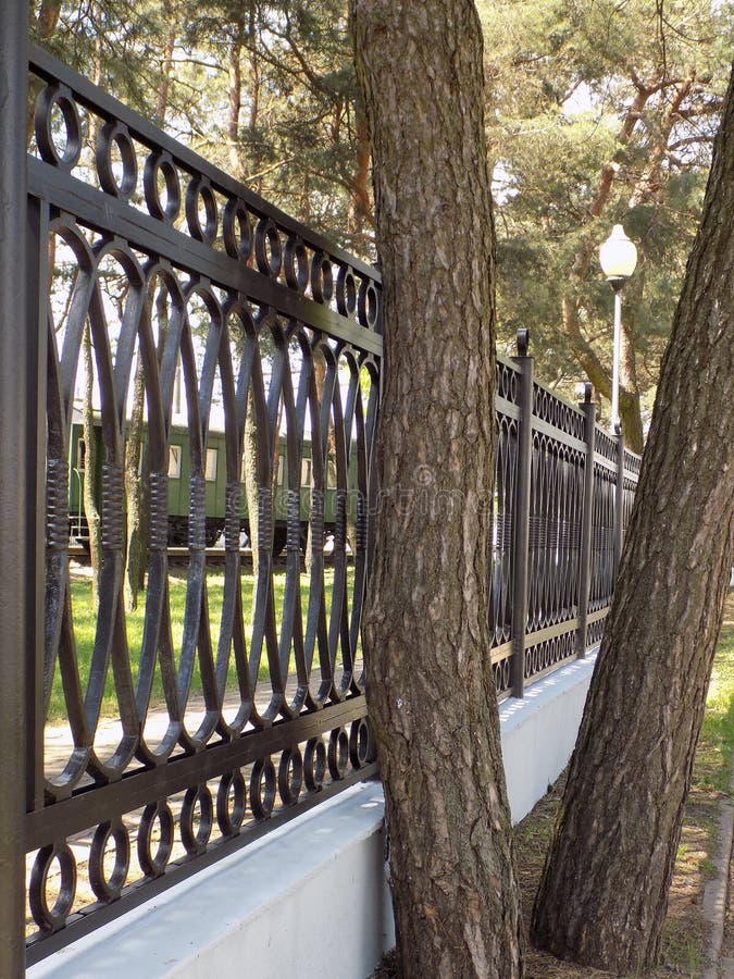 Metal Fence, Fence. Forged Fence. Stock Photo - Image of openwork ...