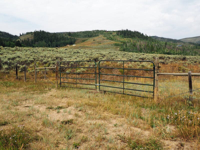 Metal Fence Gate Near a Prairie Stock Photo - Image of countryside ...