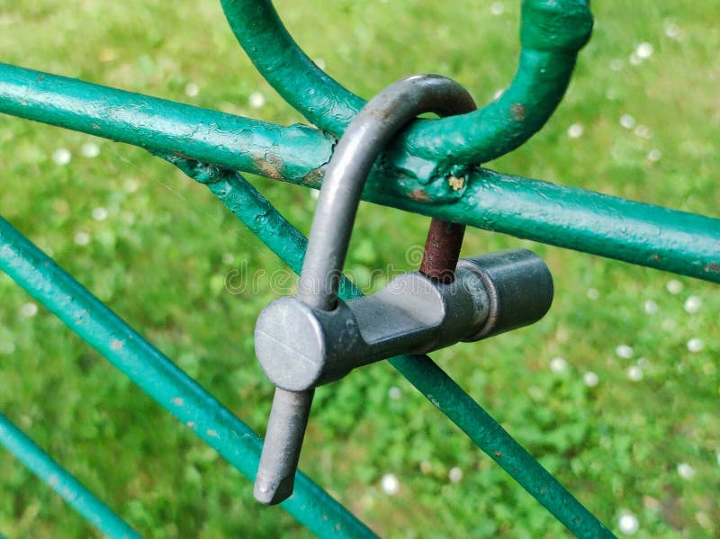 Metal Fence with Old Padlock. Lock Green Fence Concept Stock Image ...