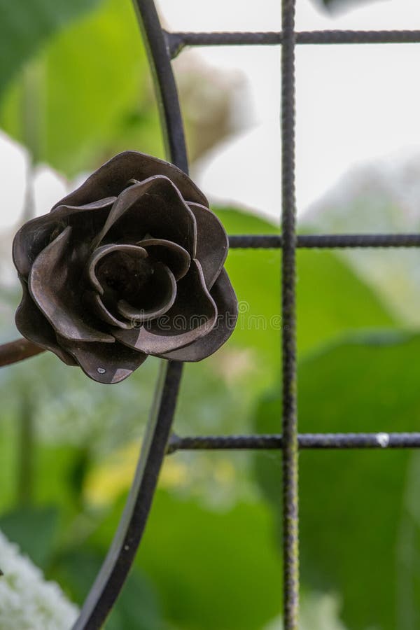 Metal Frame Rose for a Garden Stock Photo - Image of iron, animal ...