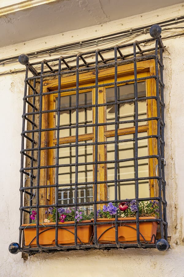 Metal Frames and Flower Boxes in the Windows of the Old Houses in ...