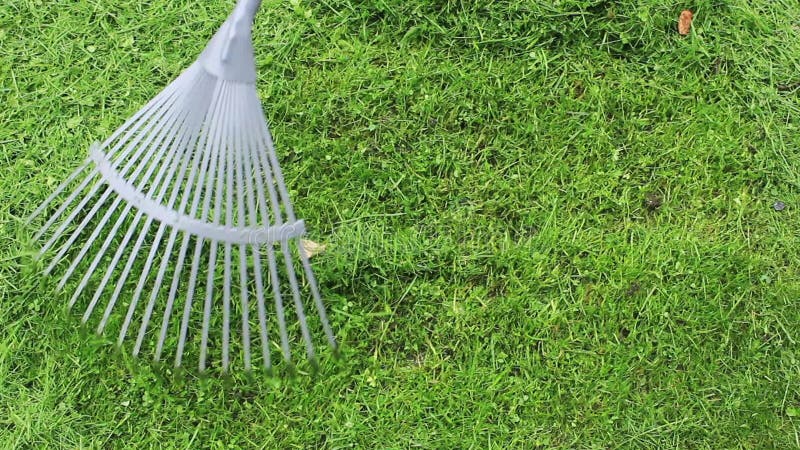 Metal Garden Rake Remove Cut Grass. Work on Lawn Stock Footage - Video ...