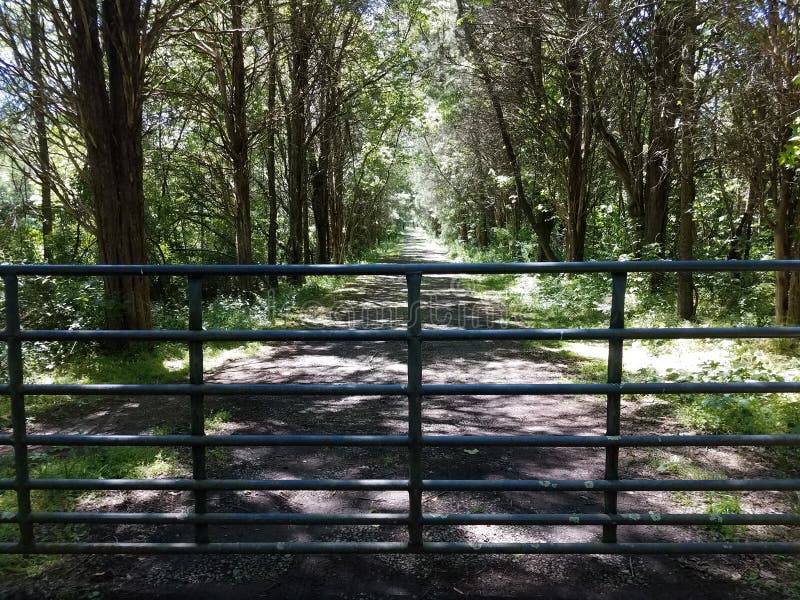 Metal Gate and Path or Trail and Trees Stock Photo - Image of road ...