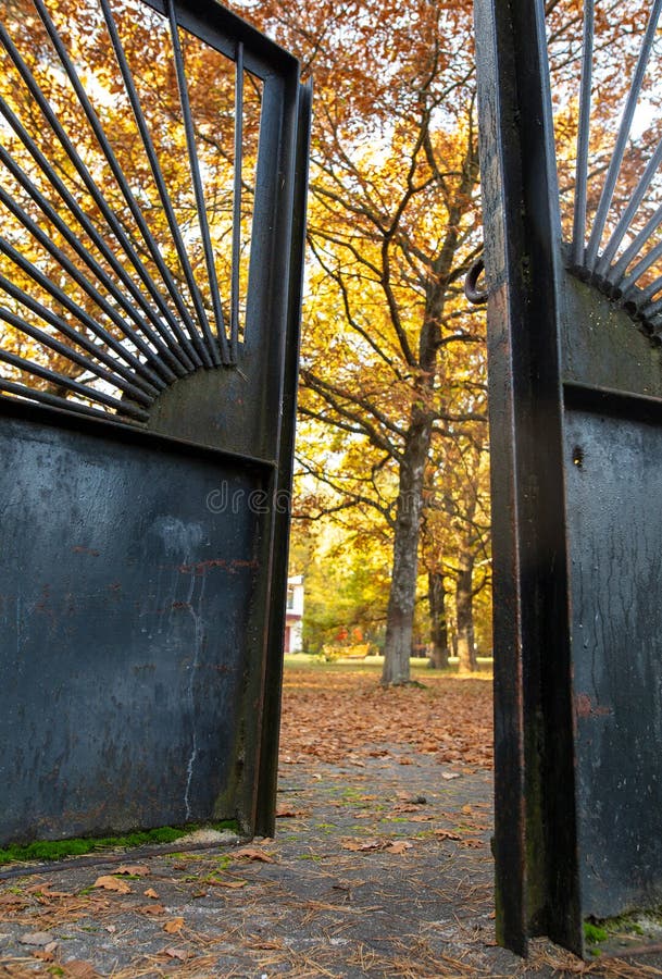 Metal gates in the park stock photo. Image of frame - 263714910