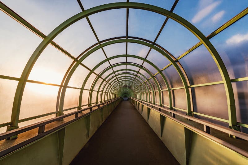 Glass roof corridor stock image. Image of hall, gallery - 54974769