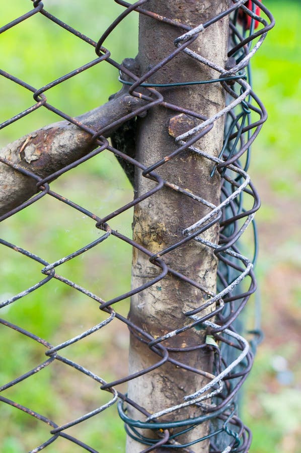 Metal grid fence stock image. Image of tree, metal, pole - 40757955