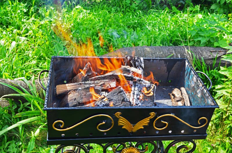 Metal grill for frying stock photo. Image of food, flame - 244009860