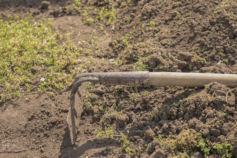 Metal hoe stock image. Image of nature, ground, farming - 216807373