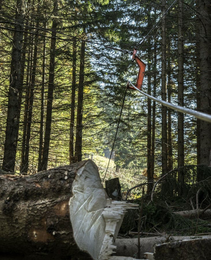 Metal Hook for Transporting Lumber in the Forest Stock Photo - Image of ...