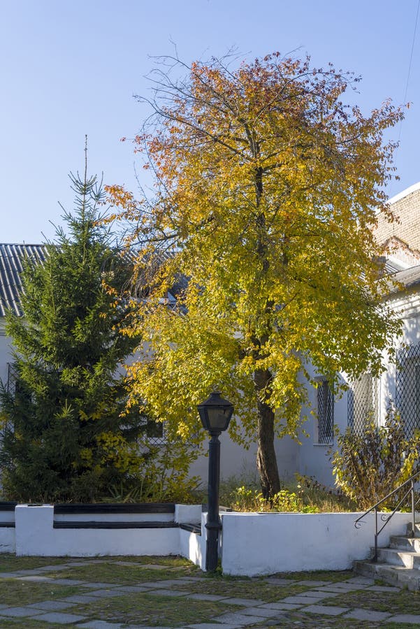 Metal Lantern on the Background of the Autumn Trees. Autumn Scene Stock ...
