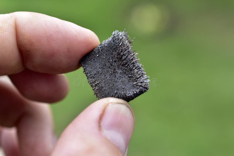 Metal Magnet in the Iron Crumb in the Hands Stock Image - Image of ...