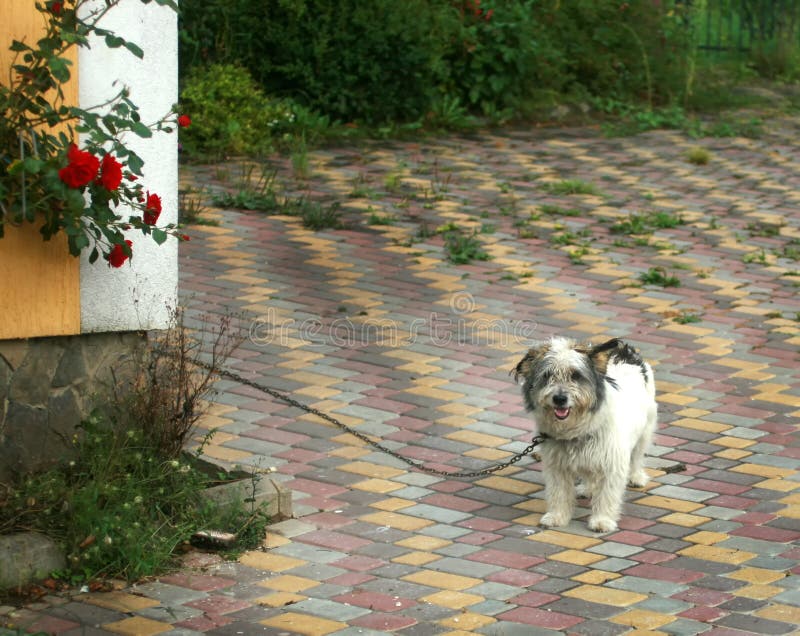 Metal Mail Box for Letters. Lockable Mailbox. Stock Photo - Image of ...
