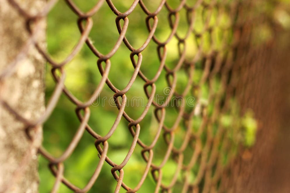 Metal mesh close up. Grid stock image. Image of mesh - 149807255