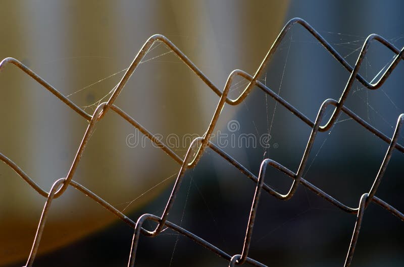 Metal Mesh Fence with Cobweb Stock Image - Image of metal, design ...