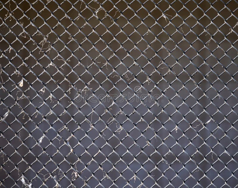 Metal mesh netting, fence stock photo. Image of installation - 270897322
