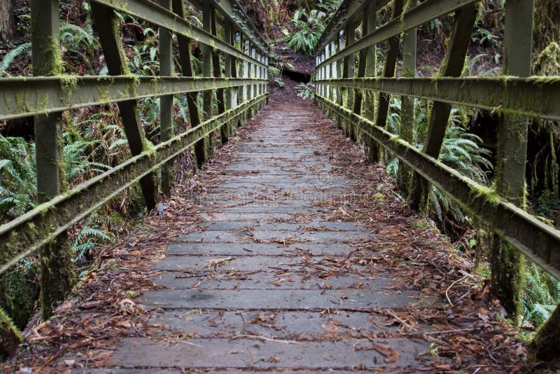 Metal moss covered bridge stock photo. Image of adventure - 88461698
