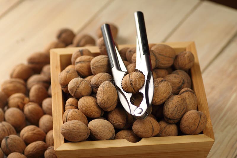 Metal Nutcracker on a Bowl with Nuts Stock Image - Image of diagonally ...