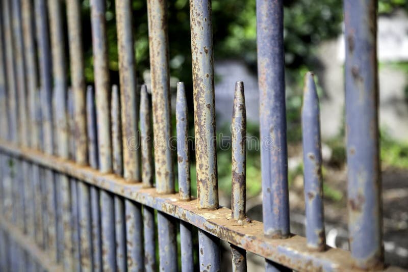 Metal protection grid stock image. Image of grate, fence - 195115271