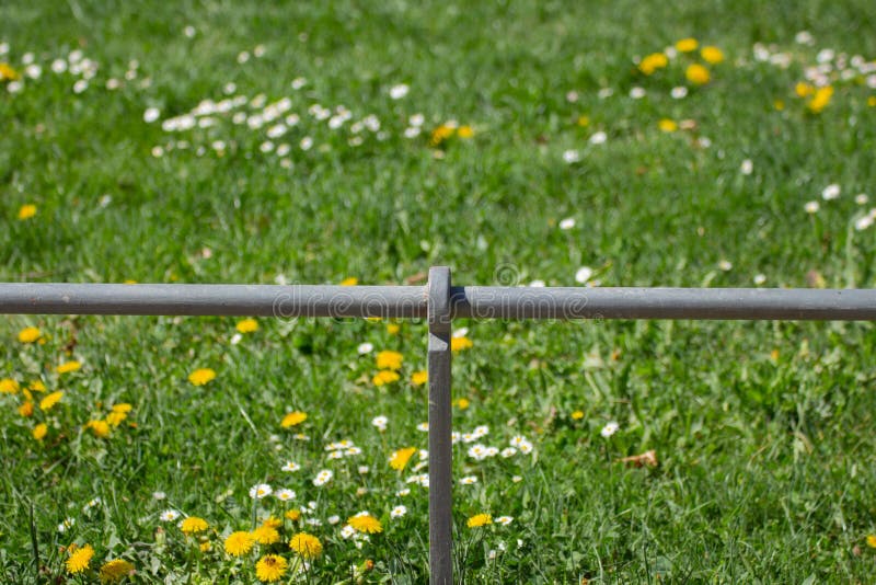Metal Railing with Defocused Flowers an Grass in the Background Stock ...