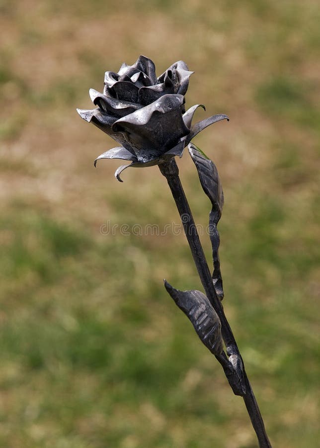 Metal rose stock image. Image of rose, everlasting, dark - 767651