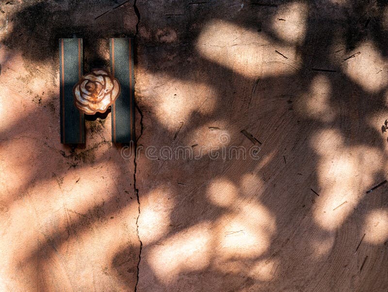Metal Rose Sign on the Old Cement Wall Stock Image - Image of fresh ...