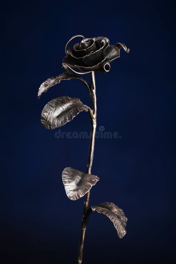 The Metal Rose on Dark-blue Background Stock Image - Image of beautiful ...