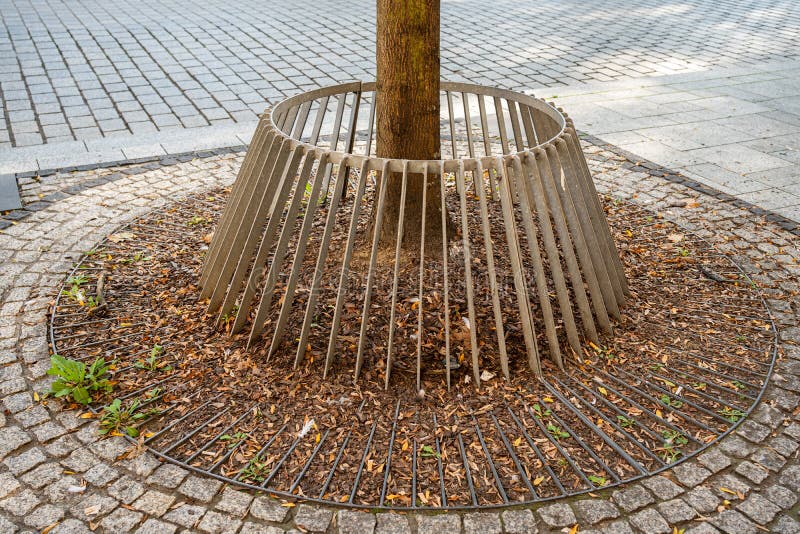 Metal Round Barrier Protecting Tree from Damage Stock Image - Image of ...