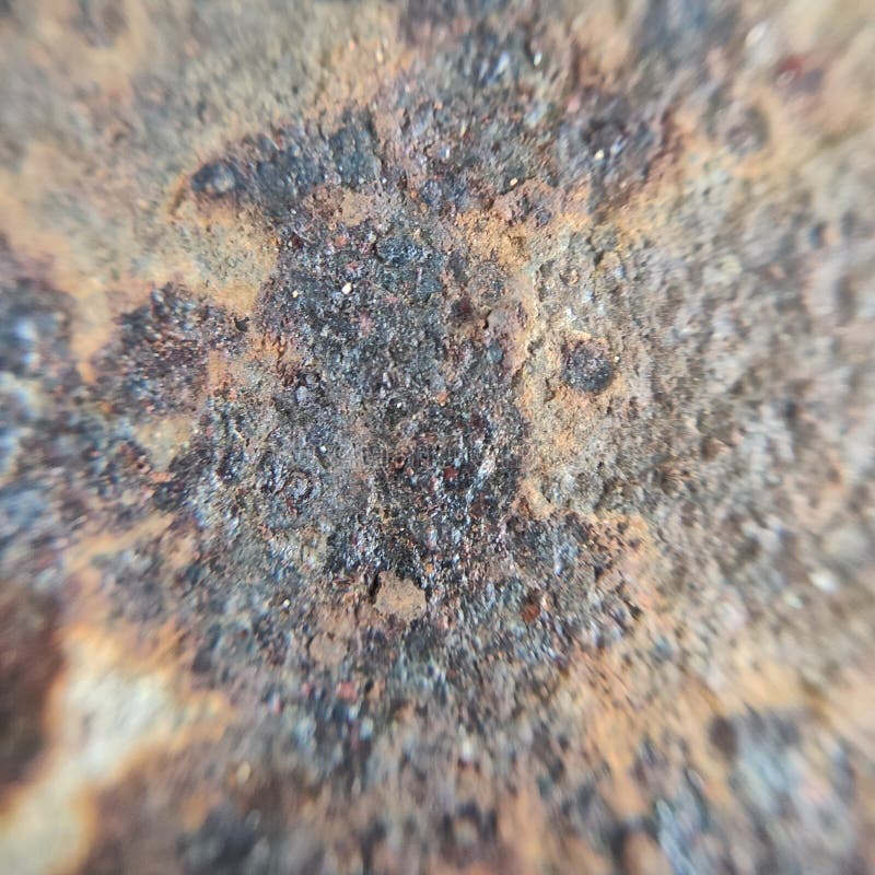 Metal rust texture macro stock photo. Image of insect - 269409658