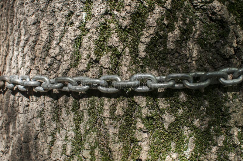 1,326 Rusty Chain Tree Stock Photos - Free & Royalty-Free Stock Photos ...