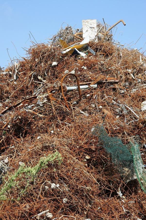 Scrap-heap Near Forest, Latvia Stock Image - Image of nature, tree ...