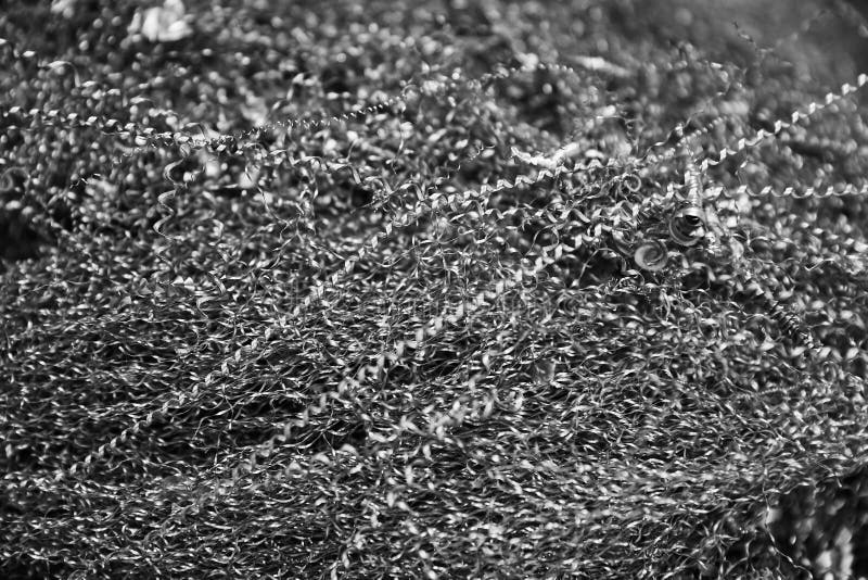 Metal Shavings. Metalworking and Materials Stock Photo - Image of curly ...
