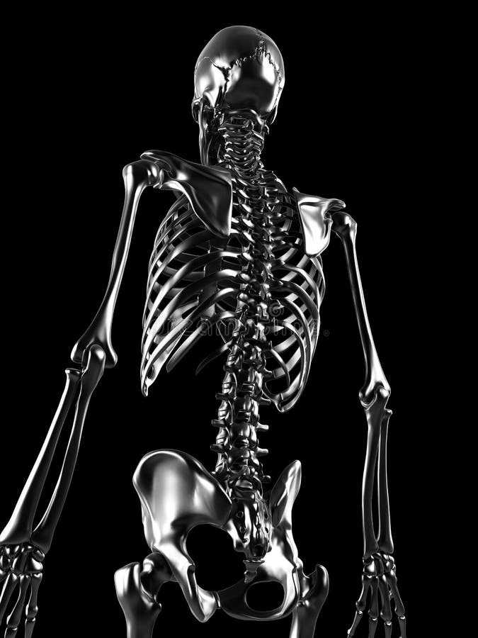 Metal skeleton stock illustration. Illustration of rendering - 30722039