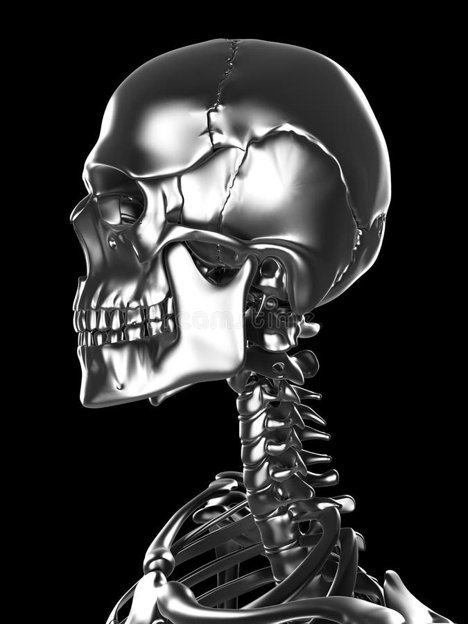 Metal skeleton stock illustration. Illustration of brushed - 30722045