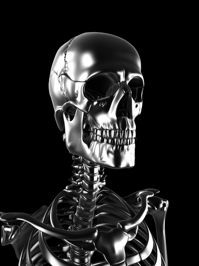 Metal skeleton stock illustration. Illustration of medical - 30722047