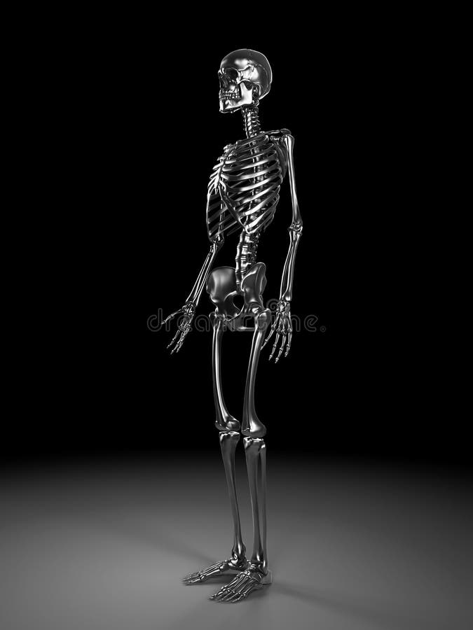 Metal skeleton stock illustration. Illustration of chrome - 30722052