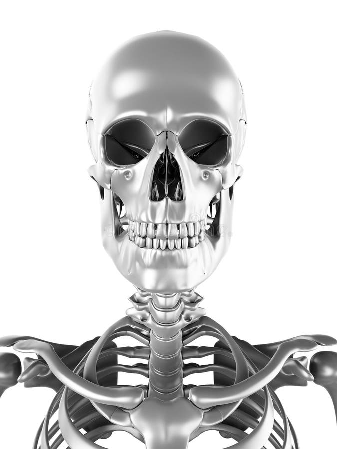 Metal skeleton stock illustration. Illustration of hard - 30722051