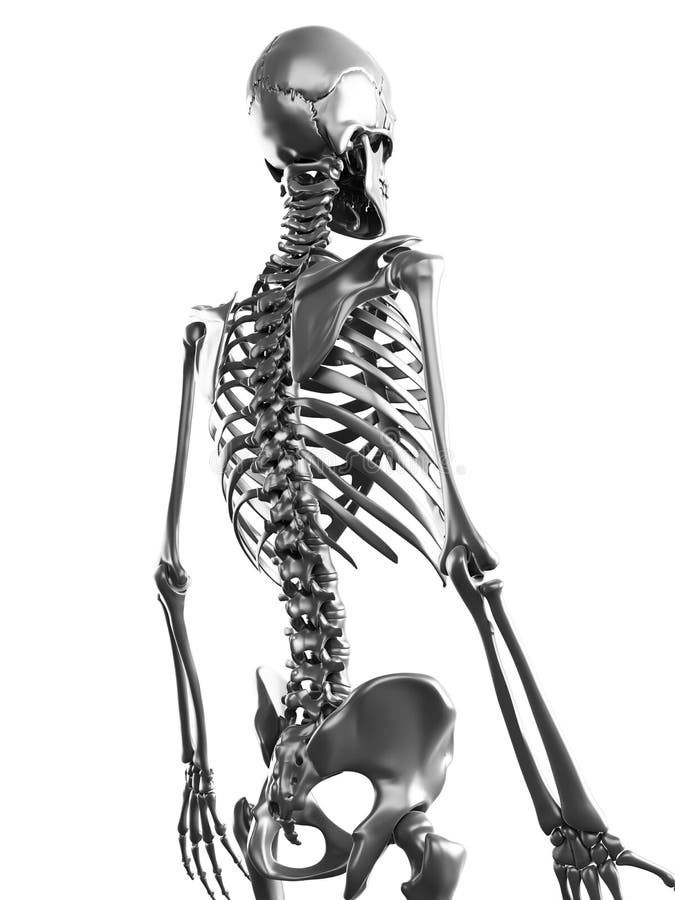 Metal skeleton stock illustration. Illustration of hard - 30722051