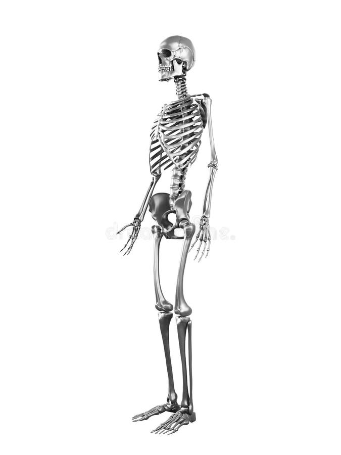 Metal skeleton stock illustration. Illustration of hard - 30722051