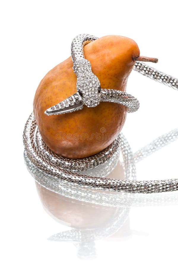 Metal snake door knocker stock photo. Image of artistic - 15579758