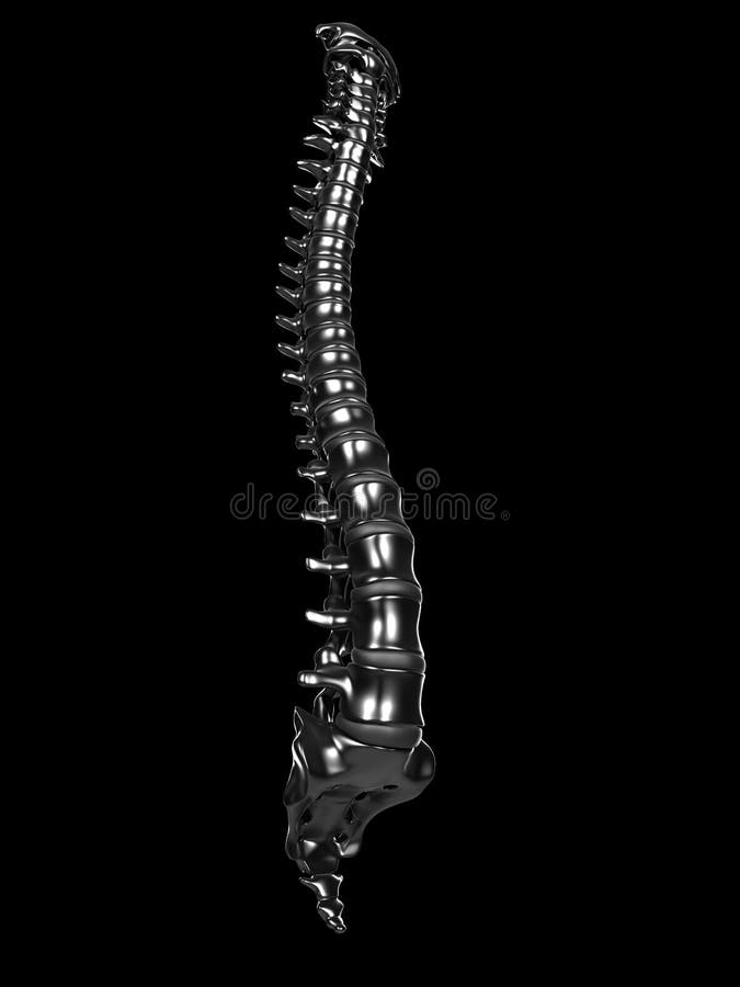 Metal spine stock illustration. Illustration of body - 30722078